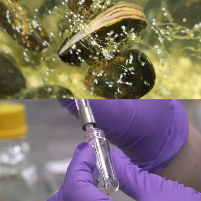 Our Co-Founder Irwin Katz is Proud to be a Boilermaker! - Chicago Glue ...